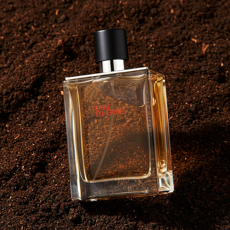 Hermes Terre Dhermes Edt 100ml Hombre